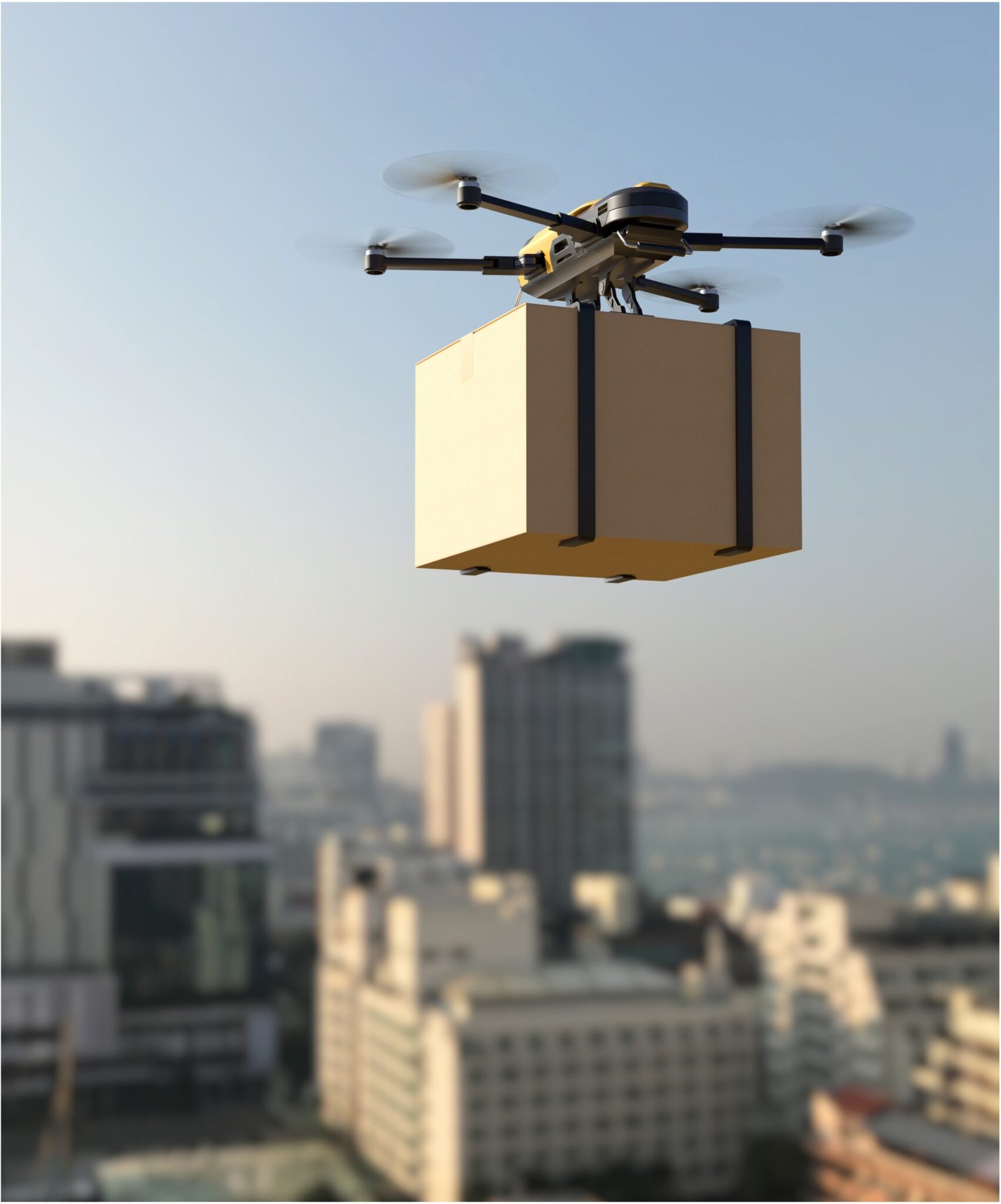 Drone Delivery – DroneAcharya